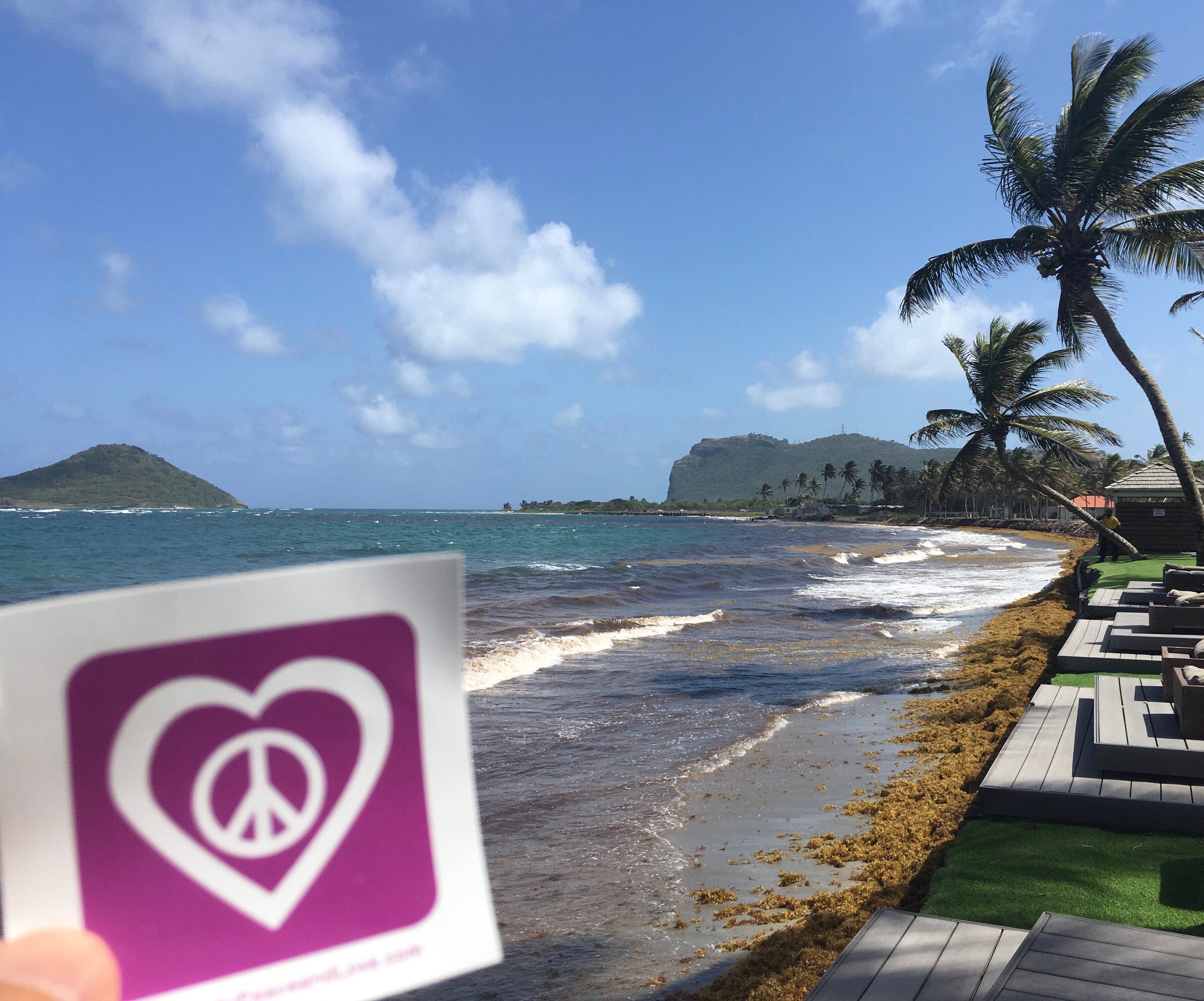 Peace & Love Sticker – Embody Peace and Love